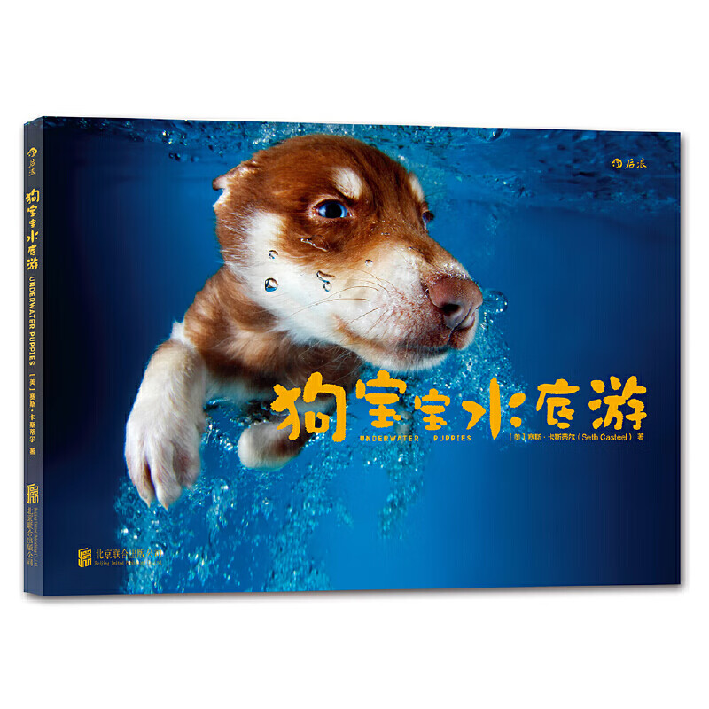 当当狗宝宝水底游