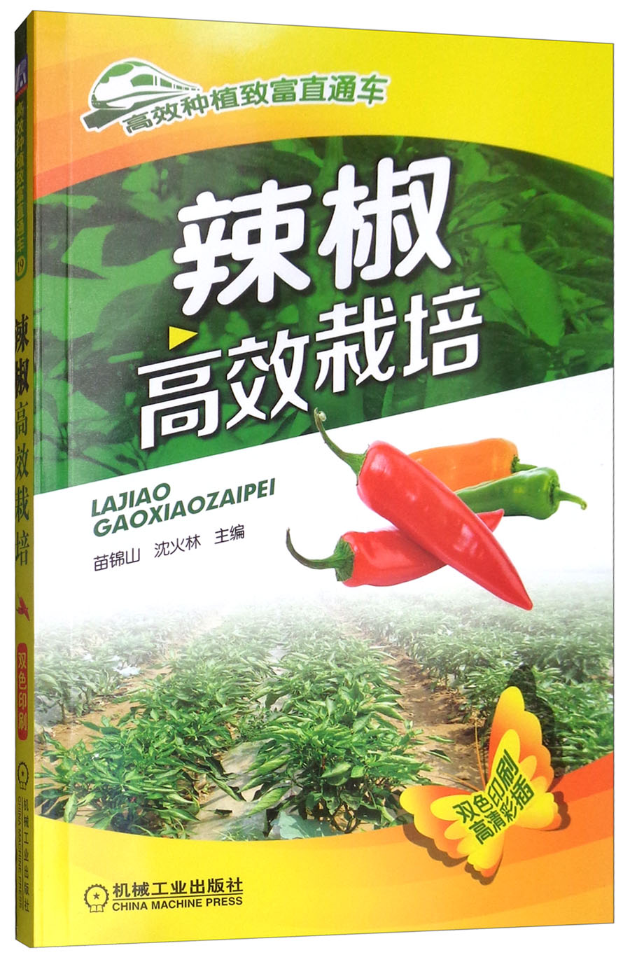 辣椒高效栽培