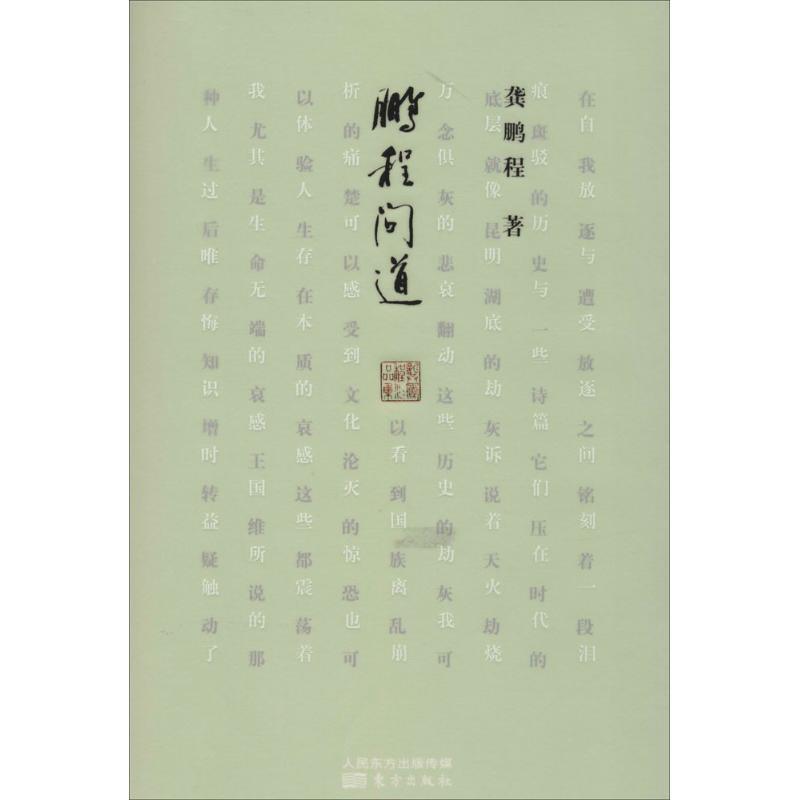 鹏程问道 龚鹏程 著