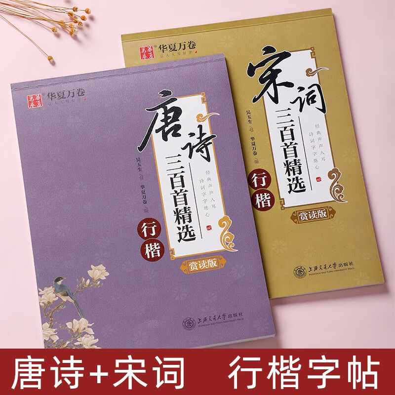 【抖音同款】志飞习字行书控笔训练字帖 秘籍高效练字49法 楷书行书入门教程 女生字体漂亮初高中硬笔书法成年男大学生临摹练字本 华夏万卷行书字帖 吴玉生行楷唐诗三百首+宋词三百首