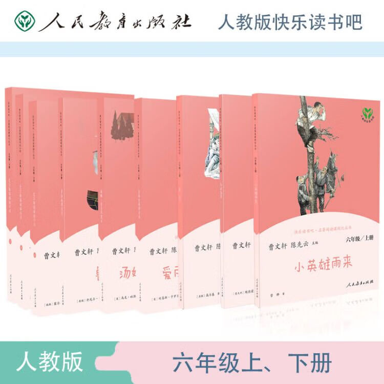 童年+爱的教育+小英雄雨来+鲁滨逊漂流记+尼尔斯骑鹅旅行记+爱丽丝漫游奇境+汤姆·索亚历险记 人教版快乐读书吧六年级京东套装
