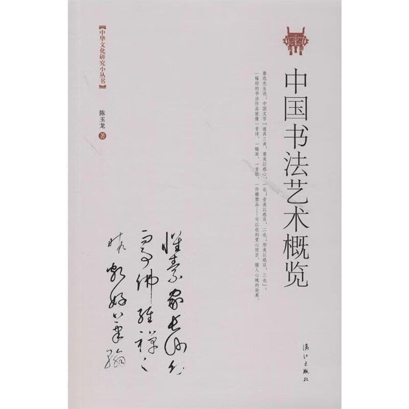 中国书法艺术概览【好书，下单速发】