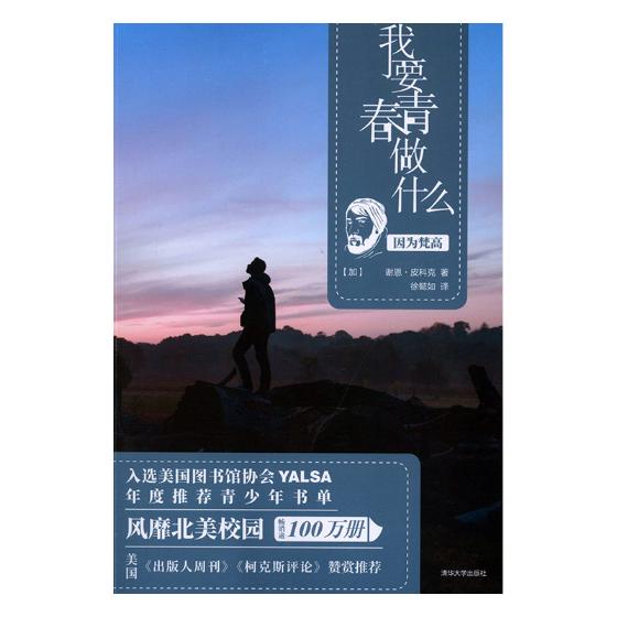因为梵高 分类 艺术家 传记书籍