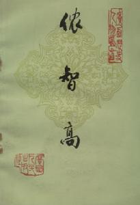 侬智高 白耀天