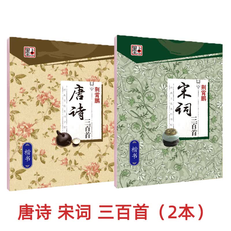 楷书临摹字帖荆霄鹏正楷练字帖成年硬笔书法钢笔字帖练字大学生初中生高中生练字本手写男生女生字体漂亮楷体 唐诗+宋词 三百首 （2本）