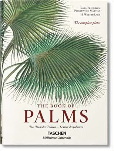 Martius: The Book of Palms