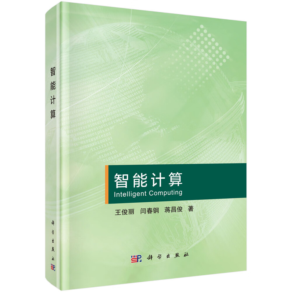 智能计算/王俊丽,闫春钢,蒋昌俊