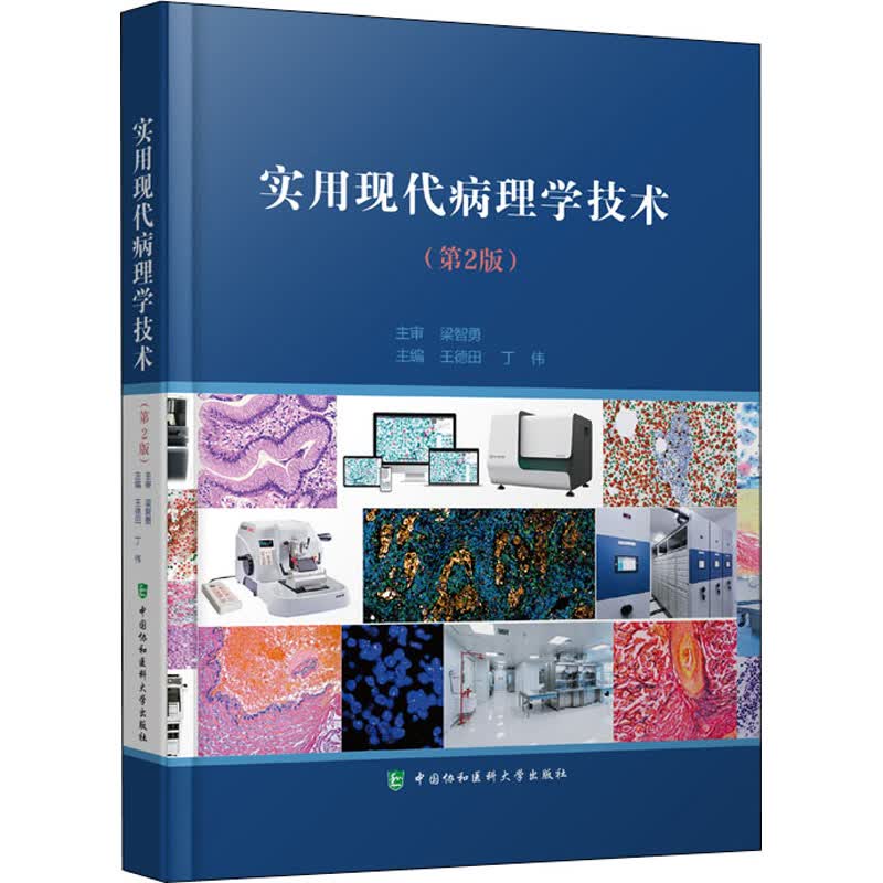 实用现代病理学技术(第2版) 王德田,丁伟 编 书籍