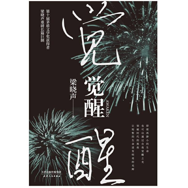 网 觉醒（第十届茅盾文学奖、热映电视剧《人世间》原著作者梁晓声作品）精装版
