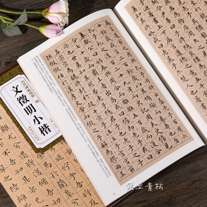 明文徵明小楷 历代碑帖精粹简体旁注文征明小楷字帖 离骚经太上老君常清净经字帖《离骚经》硬笔毛笔字帖