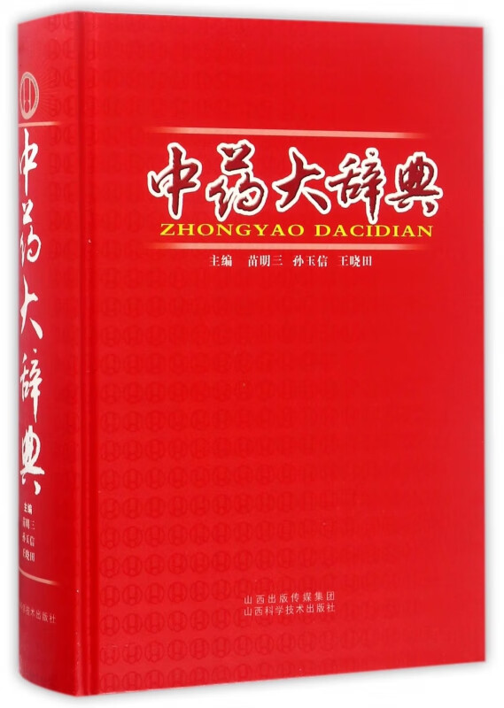 中药大辞典(精)
