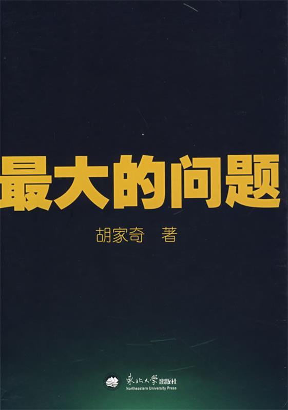 大的问题 胡家奇 著