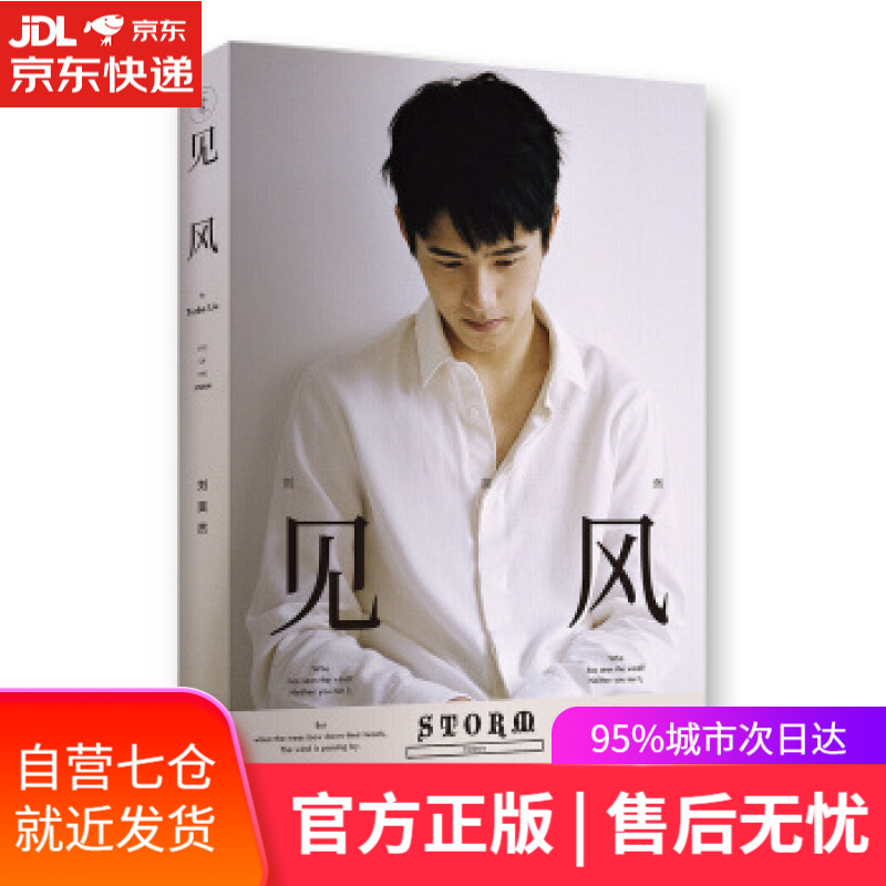 见风 刘昊然 著 中国友谊出版公司