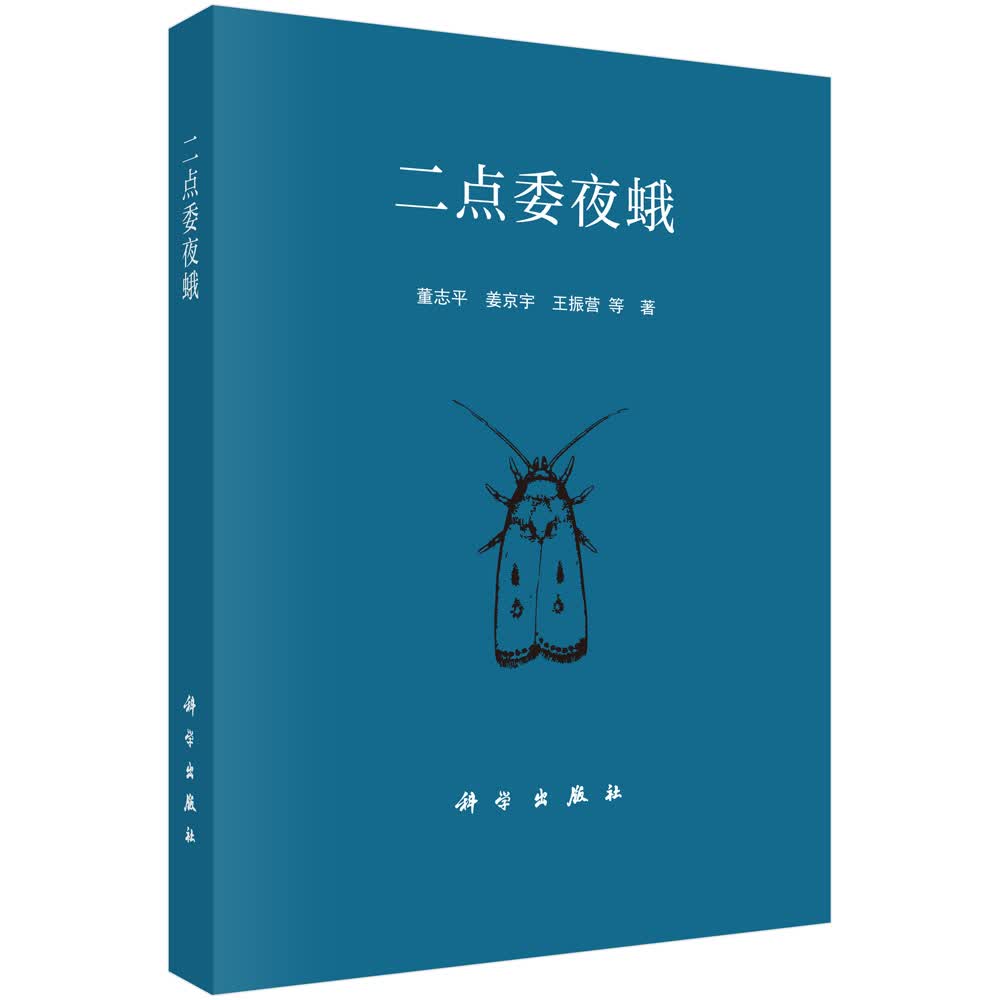 二点委夜蛾