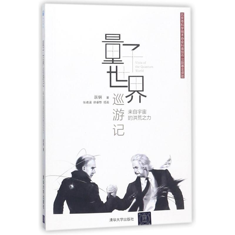 量子世界巡游记：来自宇宙的洪荒之力 跃钢 著【书】