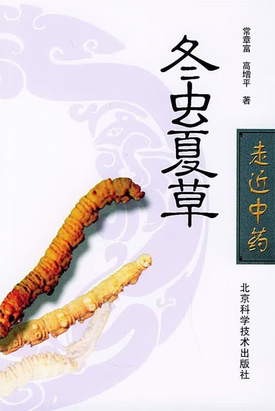 冬虫夏草【，放心购买】