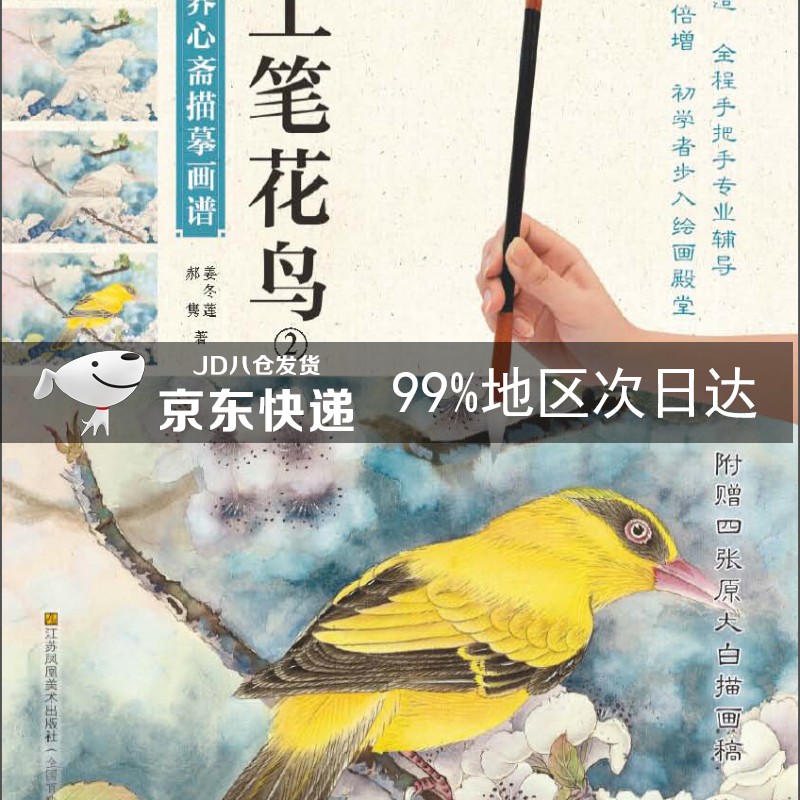 新编养心斋描摹画谱`工笔花鸟2