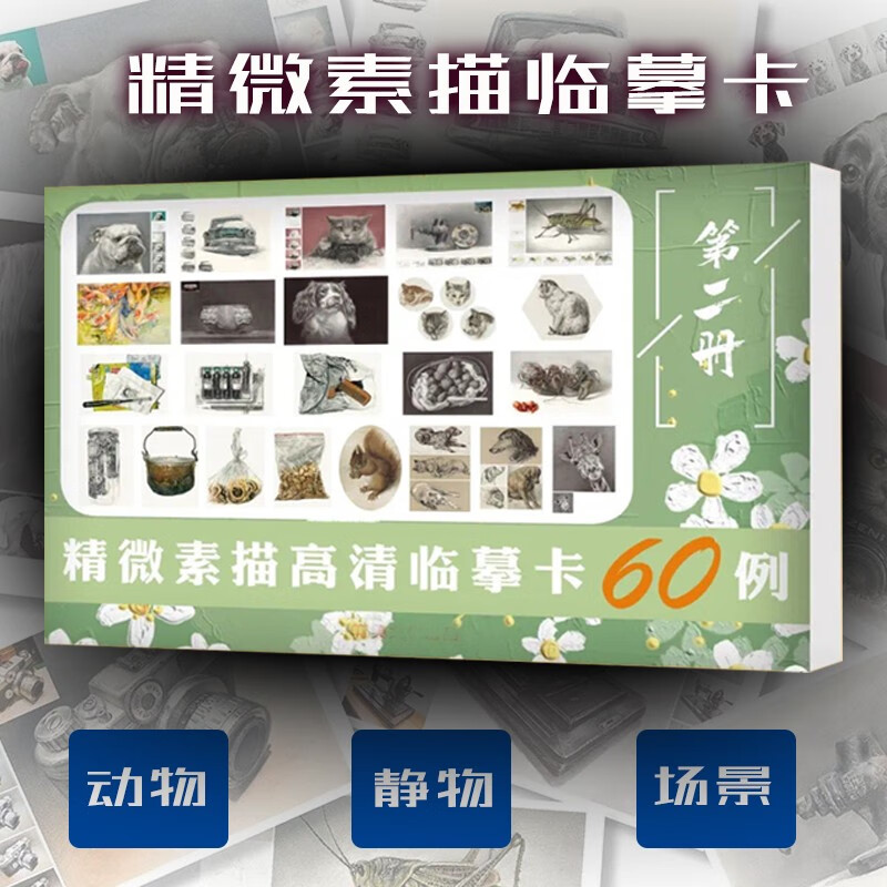 精微素描高清临摹卡【可选单本】第一册动物昆虫人物场景素描书临摹范本手绘基础兴趣绘画册彩铅入门技法教材少儿美术创意素描体系精微高清图 精微素描高清临摹卡第二册