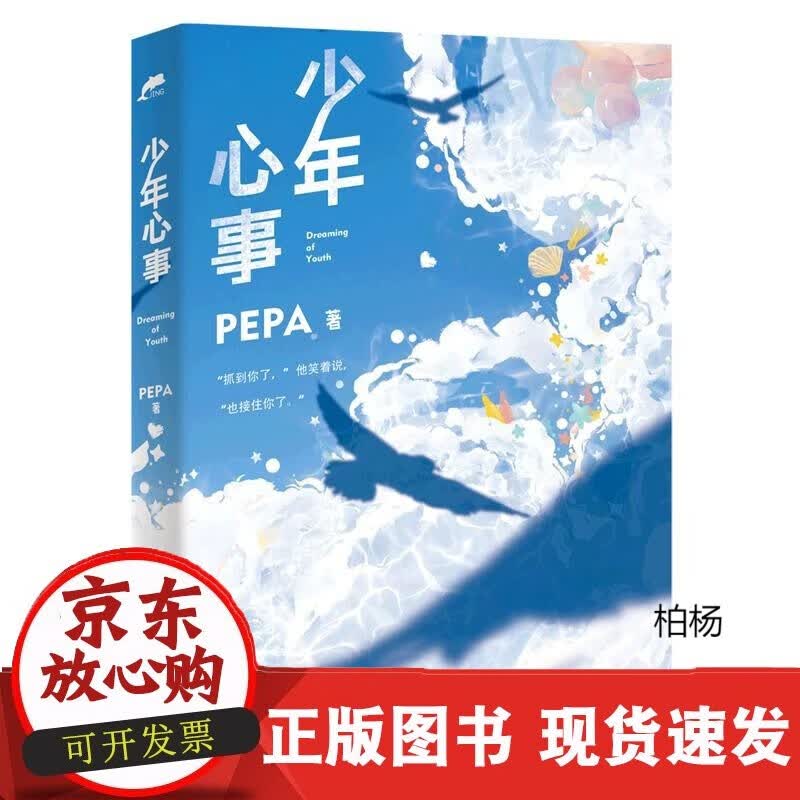 速发 少年心事