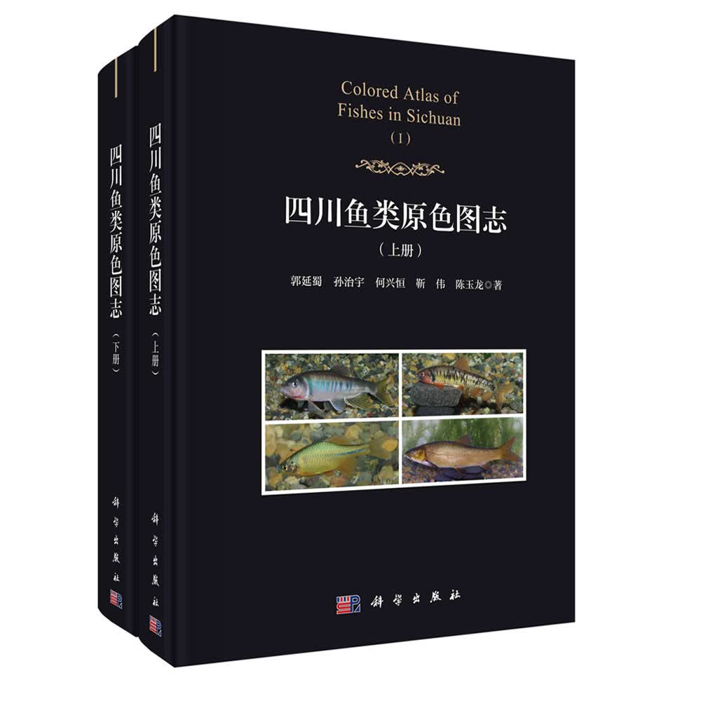 四川鱼类原色图志（上下册）/郭延蜀