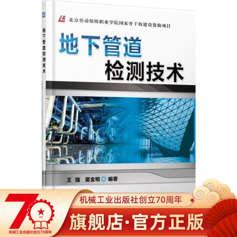 地下管网检测技术 王强机械工业出版社