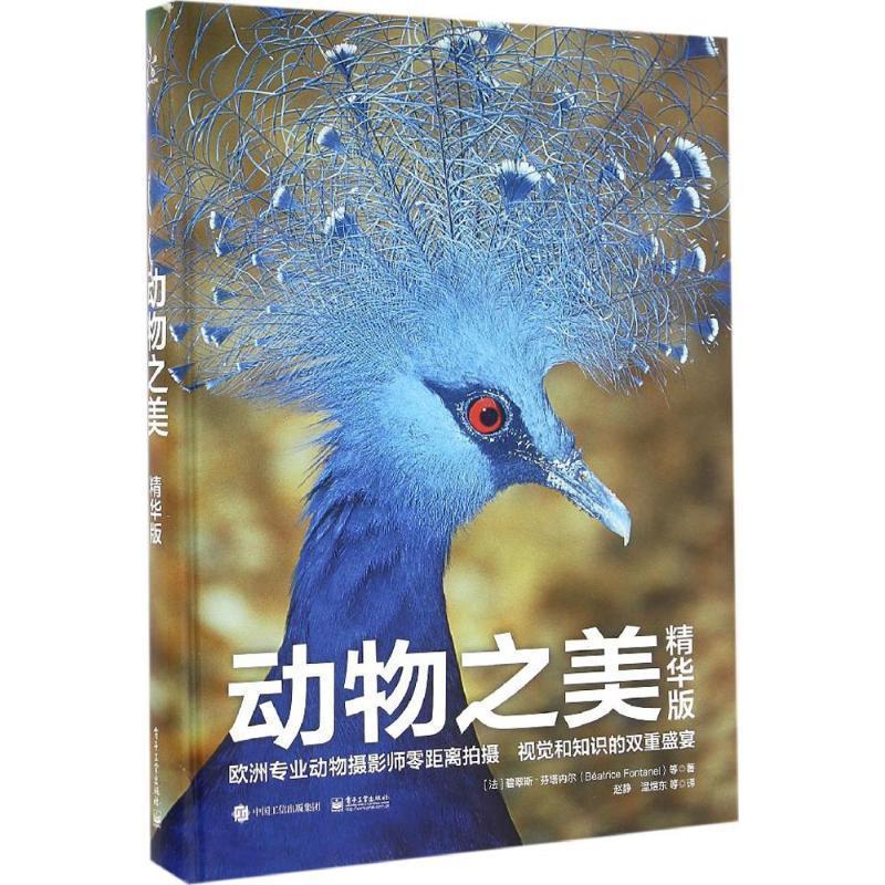 动物之美 精华版