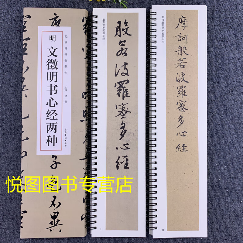 文徵明书心经两种 经典碑帖近距离临摹字卡 洪亮主编 文征明行草书 楷书毛笔书法字帖 文徵明字帖 全文无删减安徽美术出版社