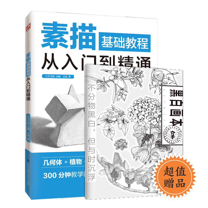 零基础学会素描