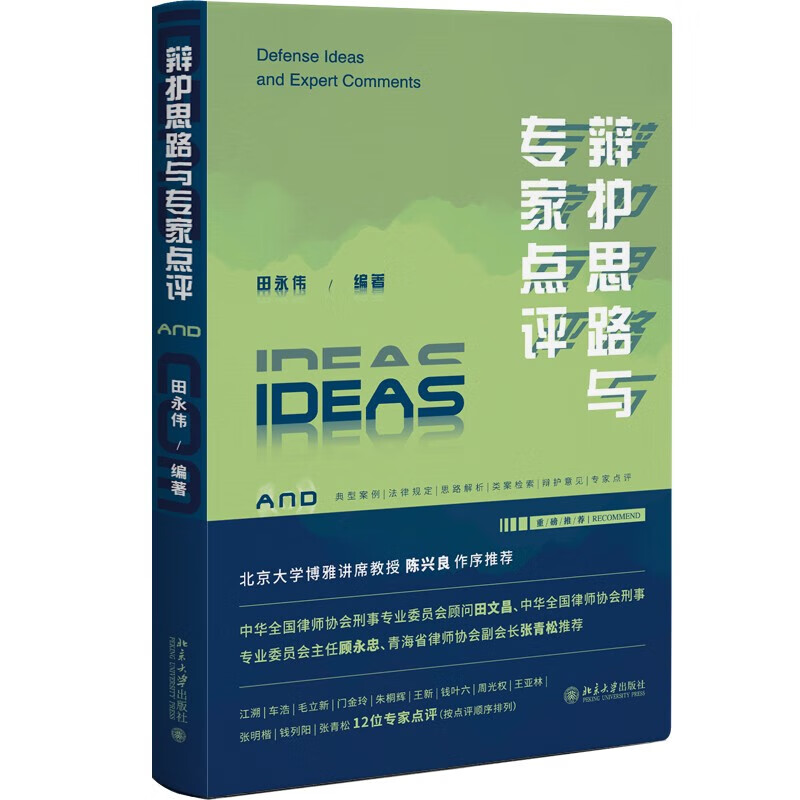 辩护思路与专家点评 田永伟北京大学出版社9787301341353