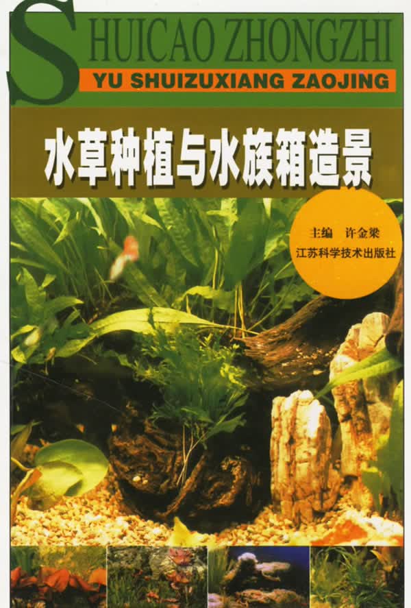 水草种植与水族箱造景【现货】