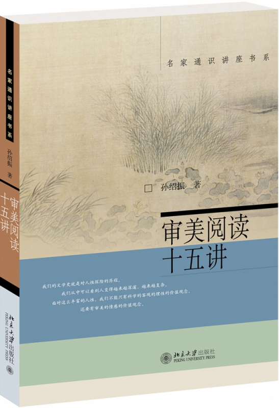 审美阅读十五讲 孙绍振 著 名家通识讲座书系 文本细读理论与实践成果的一个集锦 文学书籍经典作品赏析书籍 北京大学出版社