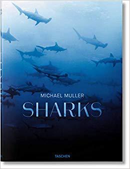 Michael Muller: Sharks, Face-To-Face