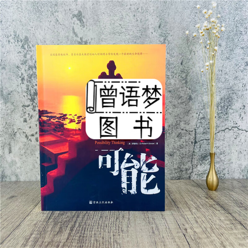 可能 舒勒 王一平 宗教文化出版社