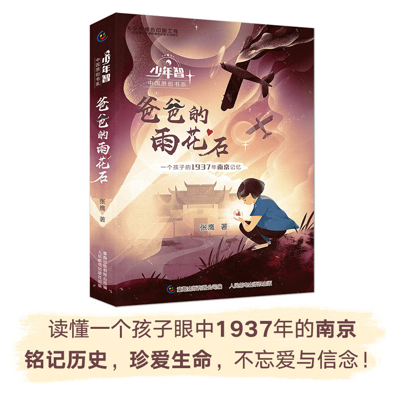 “少年智”中国原创书系 爸爸的雨花石