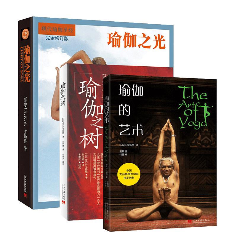 艾扬格瑜伽入门教程书3册 瑜伽之树+瑜伽的艺术+瑜伽之光 初级零基础女性瑜伽课程书籍