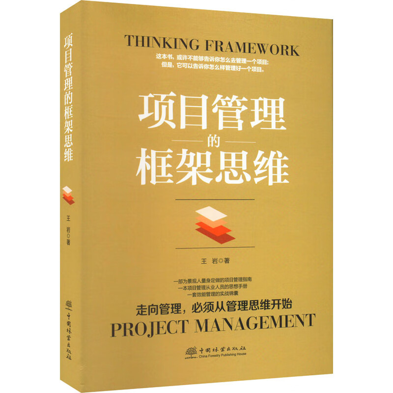 项目管理的框架思维 王岩 书籍 图书