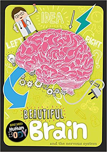 Beautiful Brain