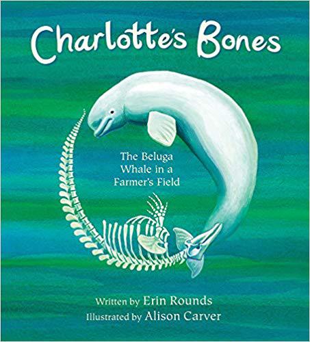 Charlotte’s Bones: The Beluga Whale in a