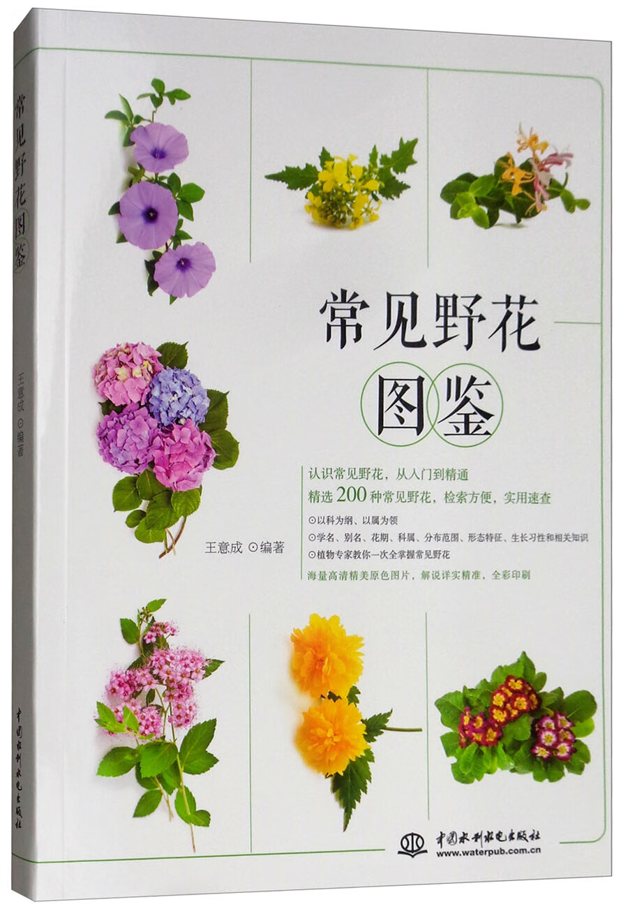常见野花图鉴