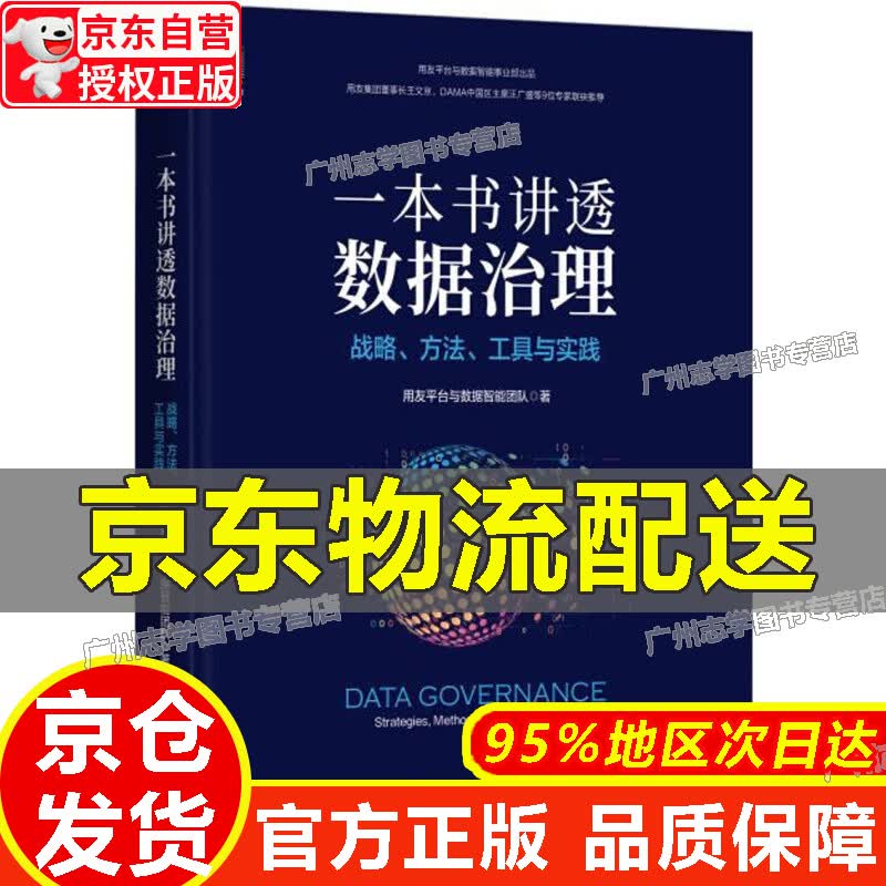 【京东配送】一本书讲透数据治理：战略、方法、工具与实践 红色