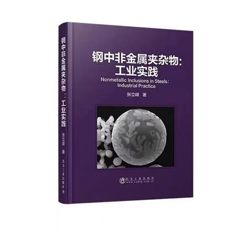 钢中非金属夹杂物：工业实践/张立峰.