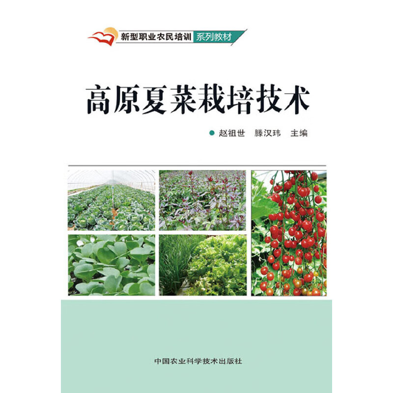 高原夏菜栽培技术