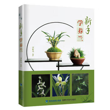 新手学养兰 湖北