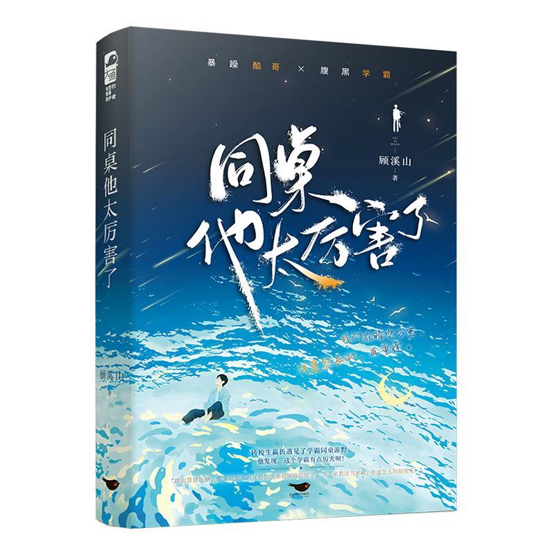 同桌他太厉害了 青春文学9787540264642