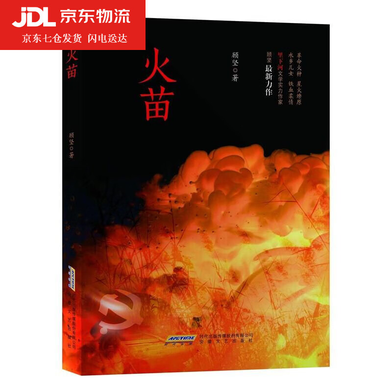 火苗 顾坚 9787539669311