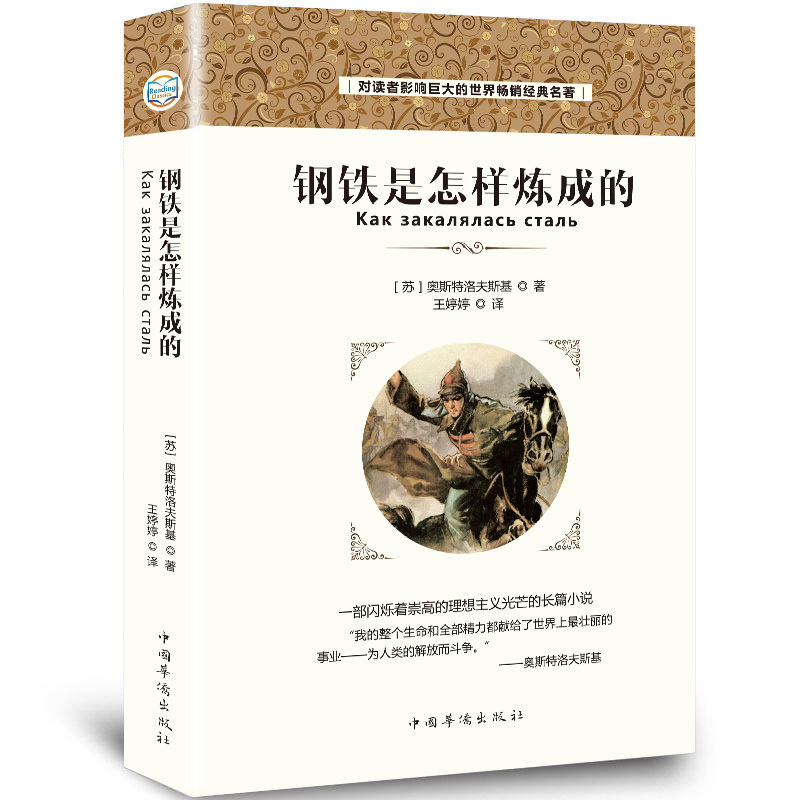 学前+小学生挂图（套装20张）全新小学必备知识点挂图 钢铁是怎样炼成的