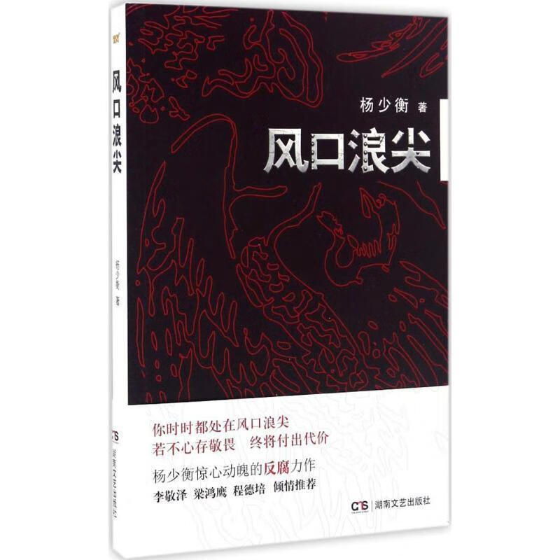 风口浪尖 杨少衡【书】