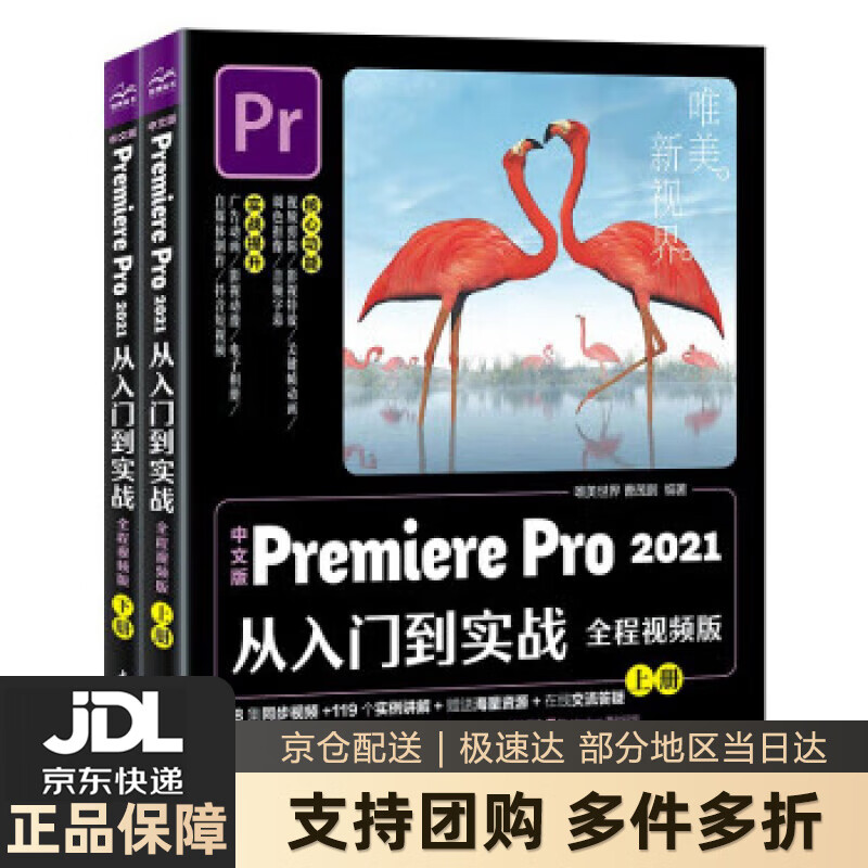 【 送货上门】中文版Premiere Pro 2021从入门到实战（全程视频版）（全两册）pr教程pr书籍视频剪辑