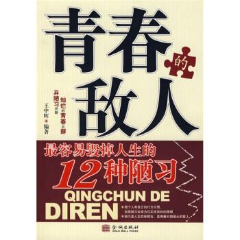 青春的敌人 王中辉 著