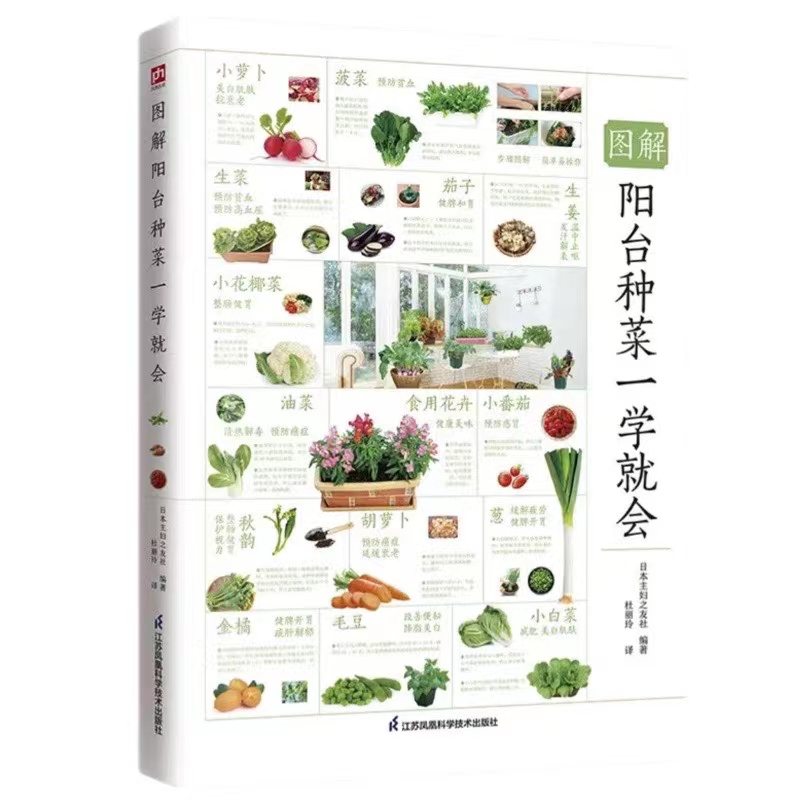 ***图解阳台种菜一学就会